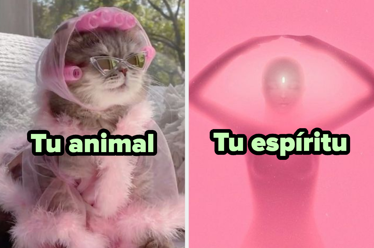 Elige entre estos animales bonitos y te diré de qué color brilla tu ...