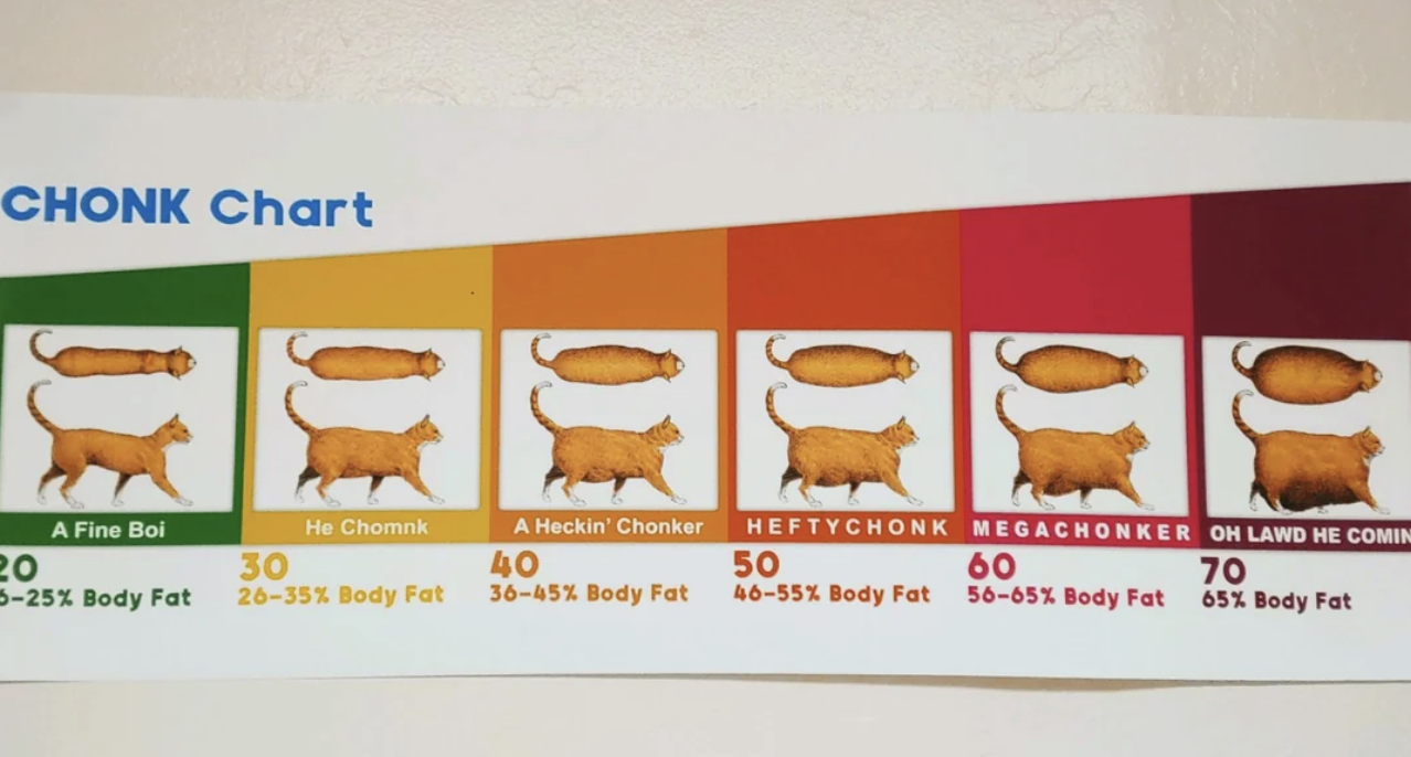 Literally Just 69 Dumb, Funny Photos