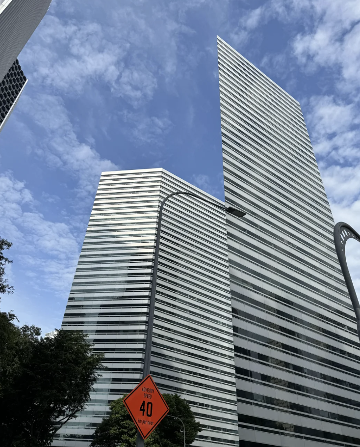 Confusing Photos: 16 Wildest Shots