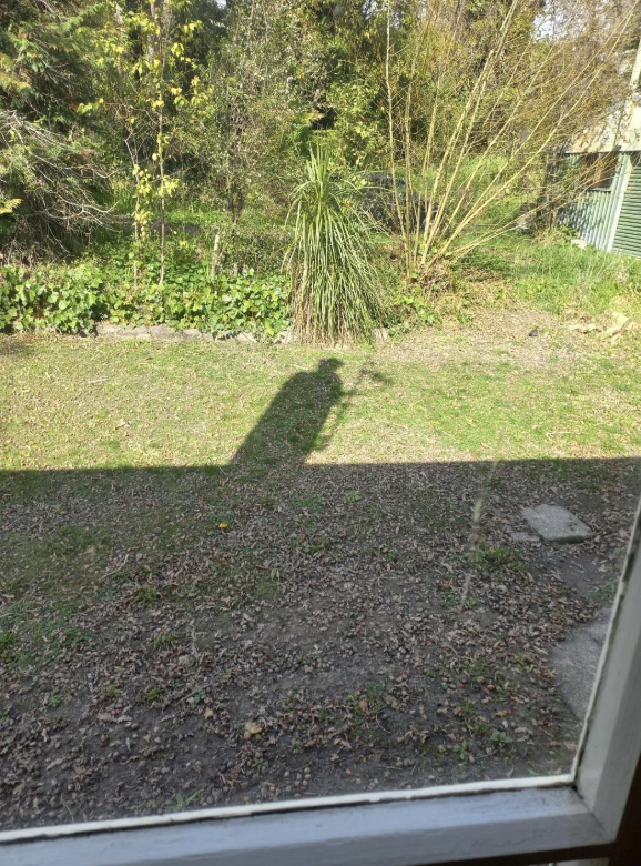 29 Interesting Photos On Reddit This Month January 2025