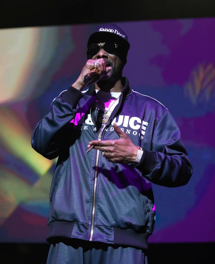 Snoop Dogg And Nelly Trump Performances Spark Backlash