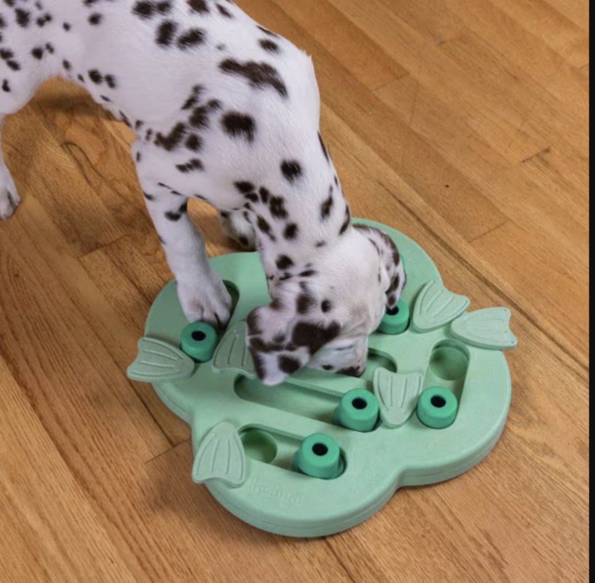 21 Interactive Toys From Chewy To Keep Dogs Entertained
