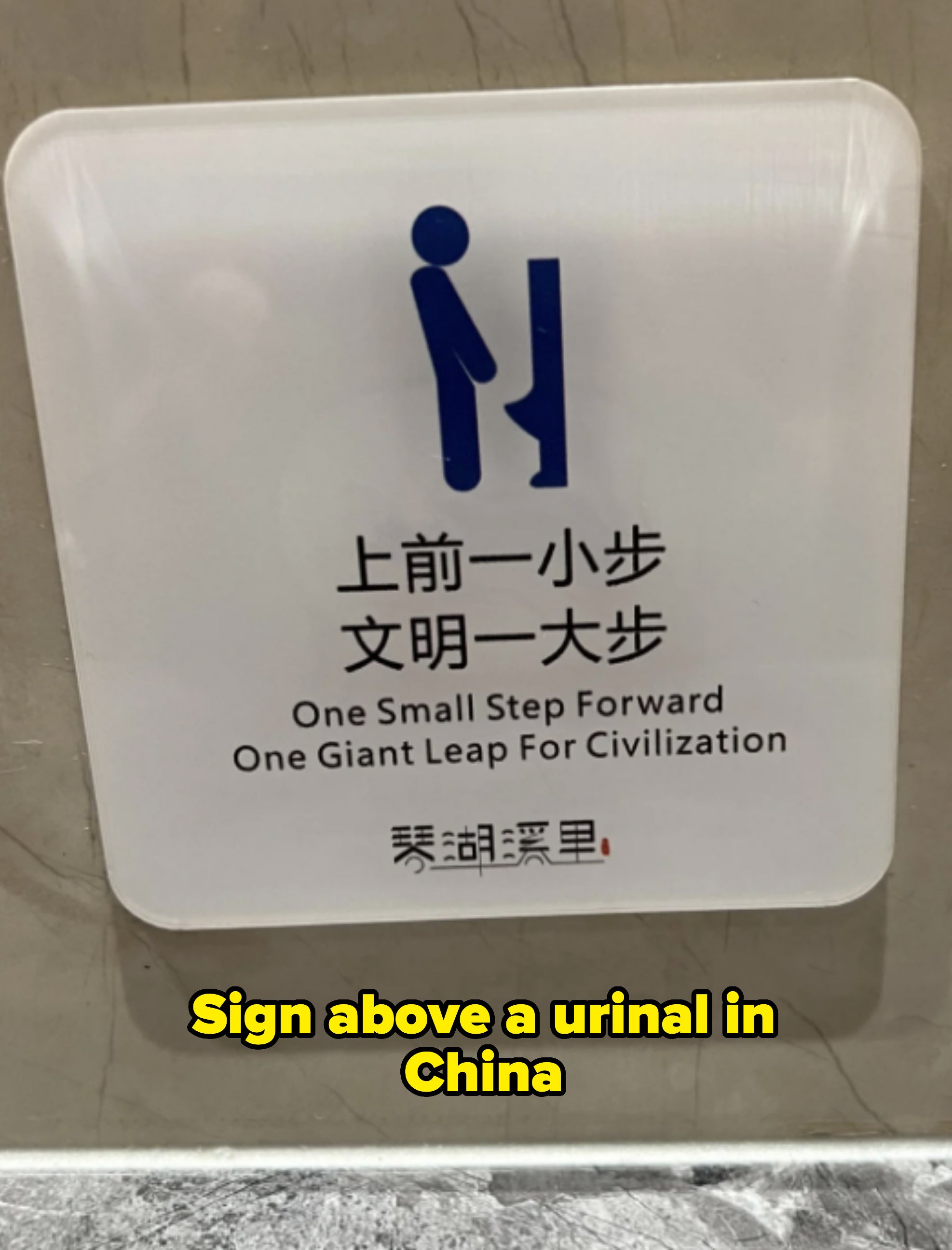 Literally Just 69 Dumb, Funny Photos