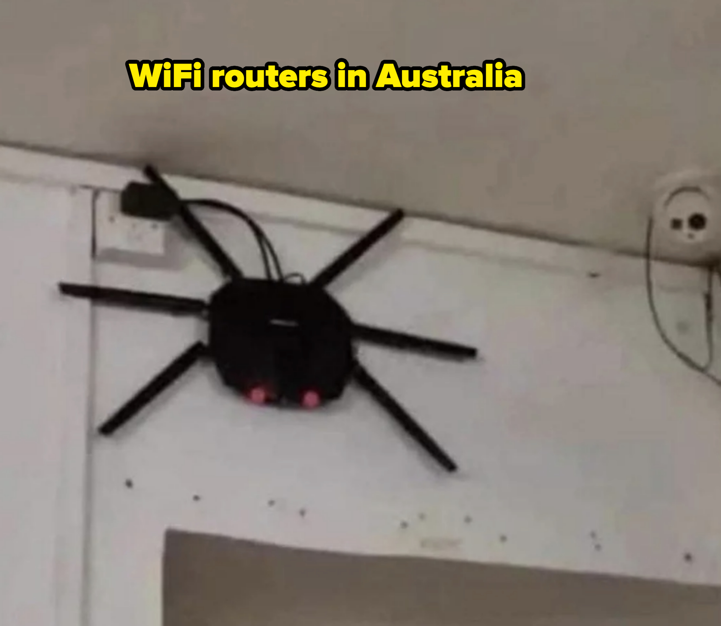 Literally Just 69 Dumb, Funny Photos