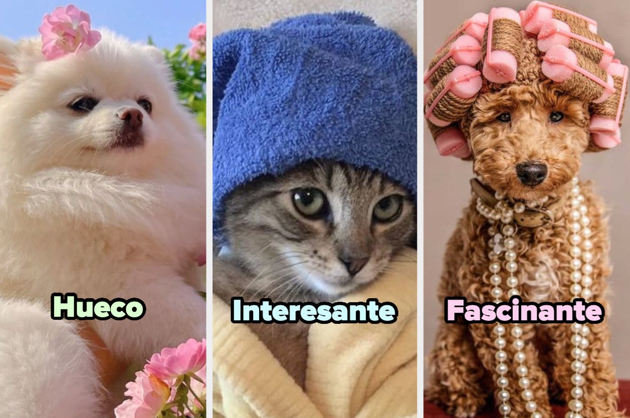 Puedo adivinar si eres hueco, interesante o fascinante solo con tu ...