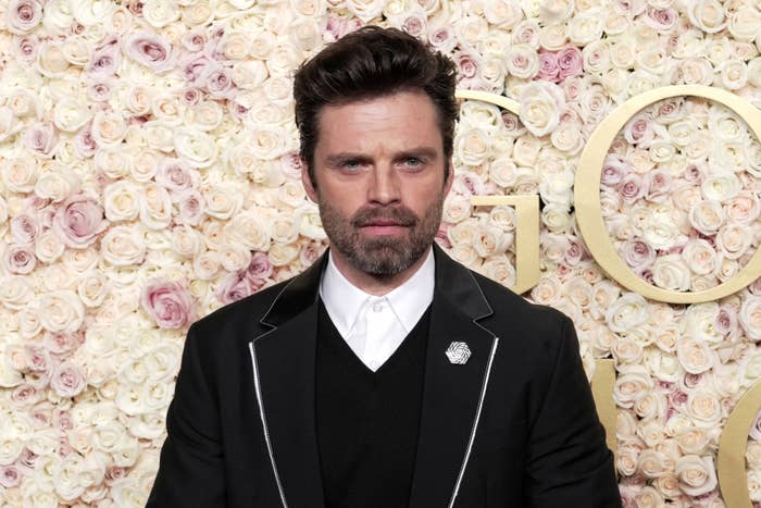 Sebastian Stan's Resurfaced Instagram Post Amid Oscar Nom