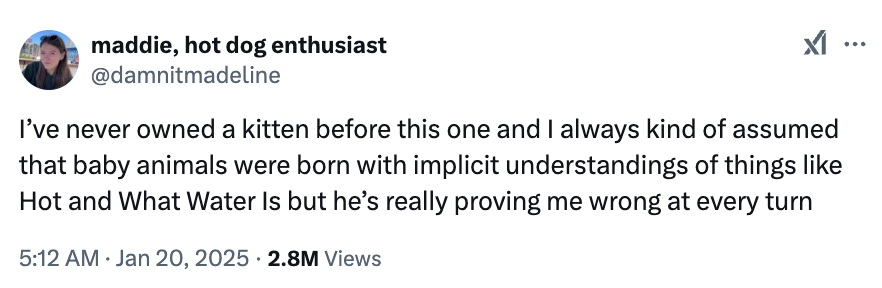 25 Of The Funniest Pet Tweets On The Internet This Week