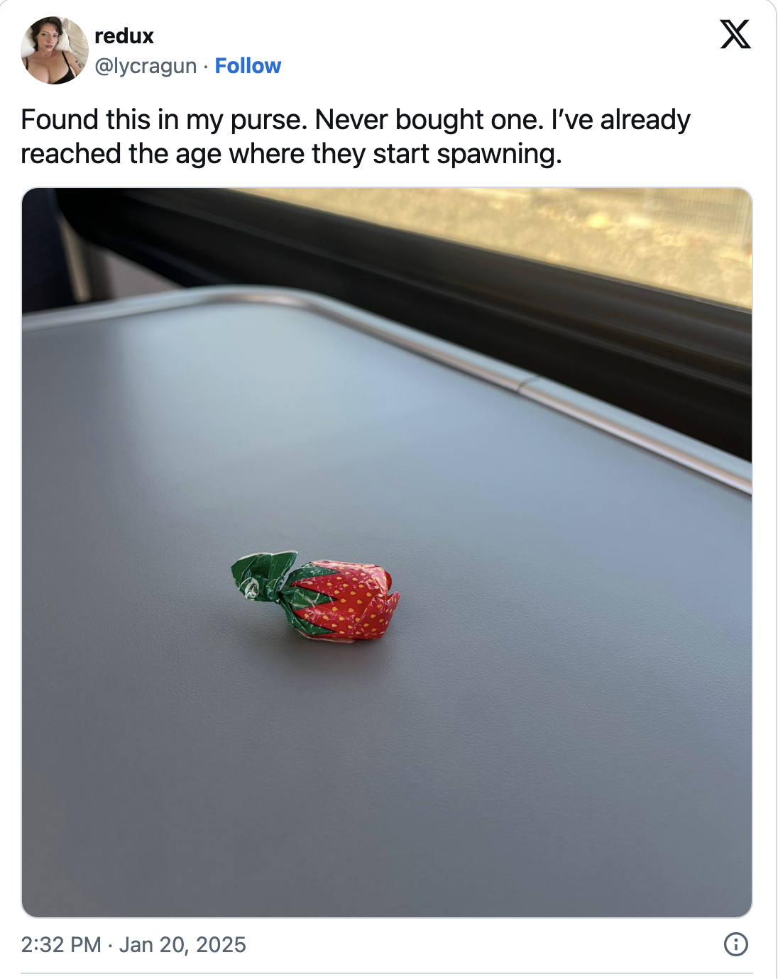 50 Funniest Tweets From January