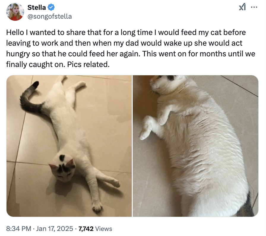 25 Of The Funniest Pet Tweets On The Internet This Week