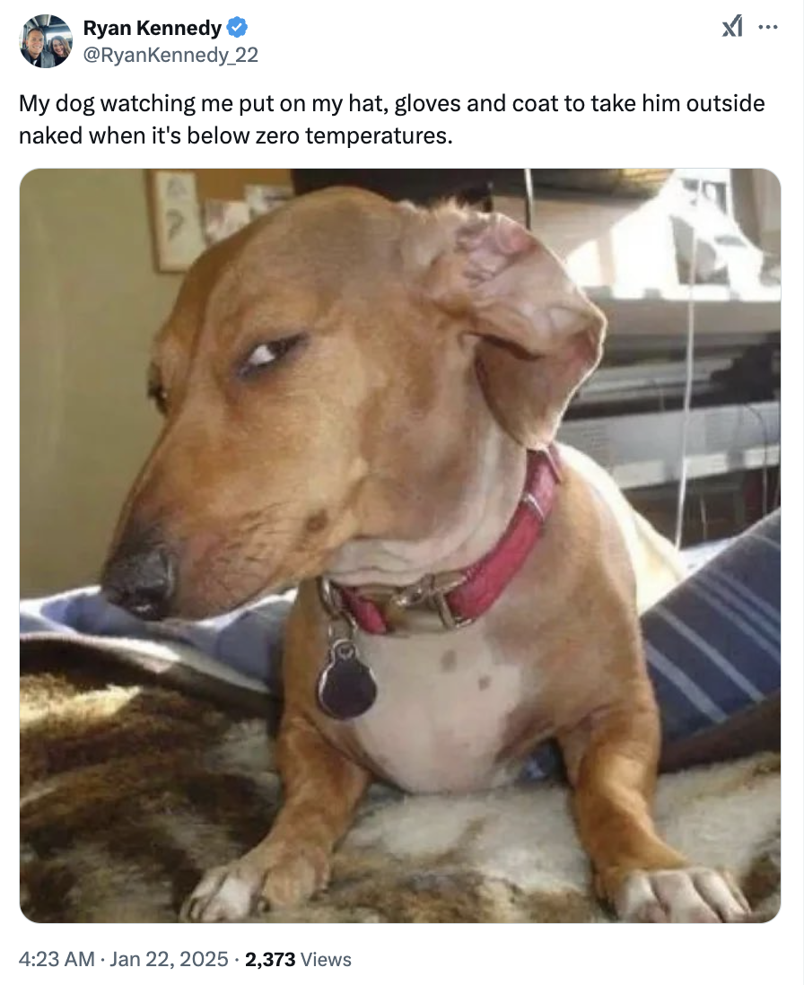 25 Of The Funniest Pet Tweets On The Internet This Week