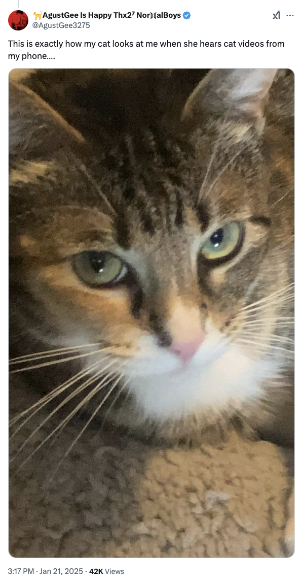 25 Of The Funniest Pet Tweets On The Internet This Week