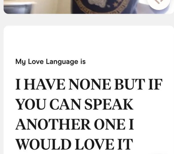 16 Funny Dating Profiles