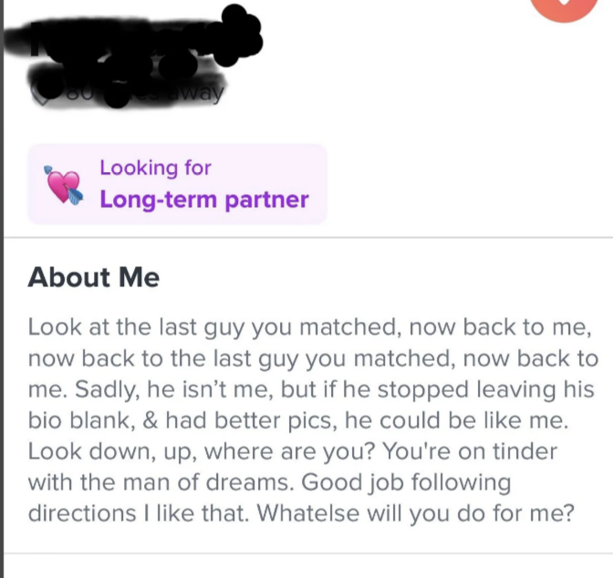 16 Funny Dating Profiles