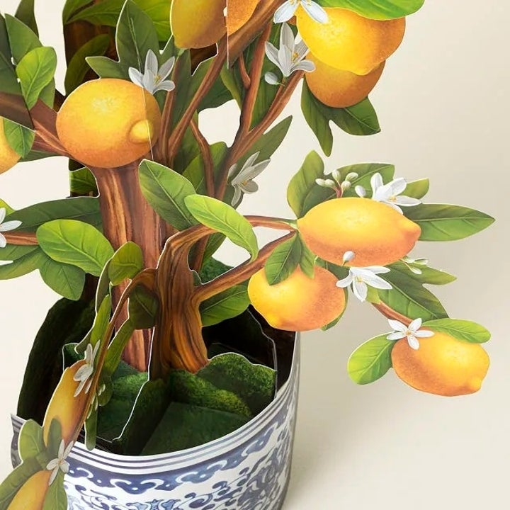 29 Uncommon Goods Gifts That Wow Every Time