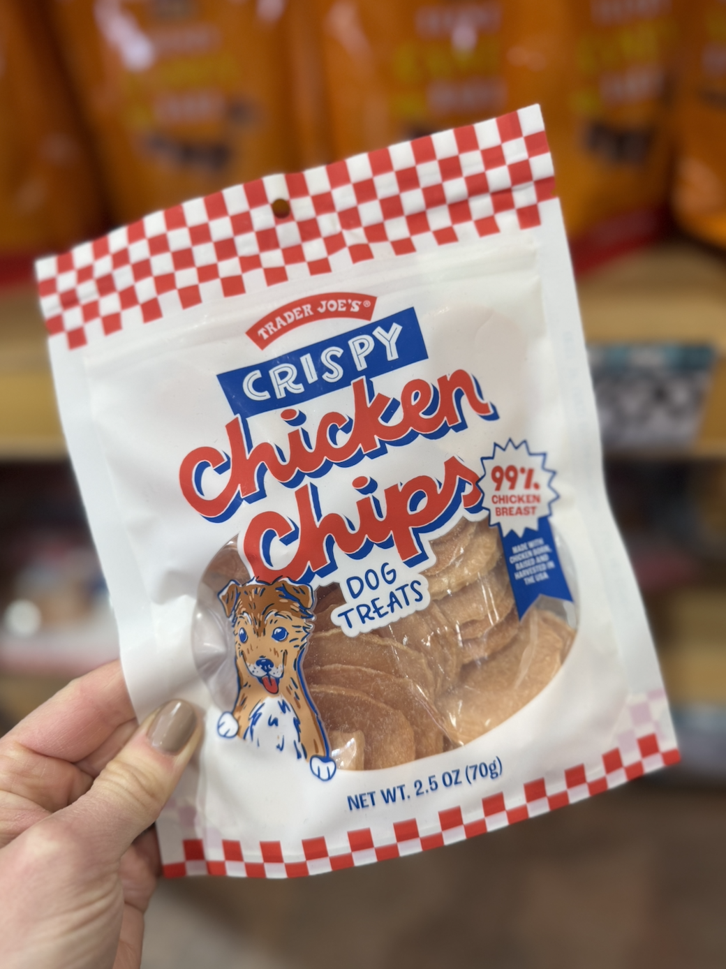 New Winter Trader Joe's Products You'll Love