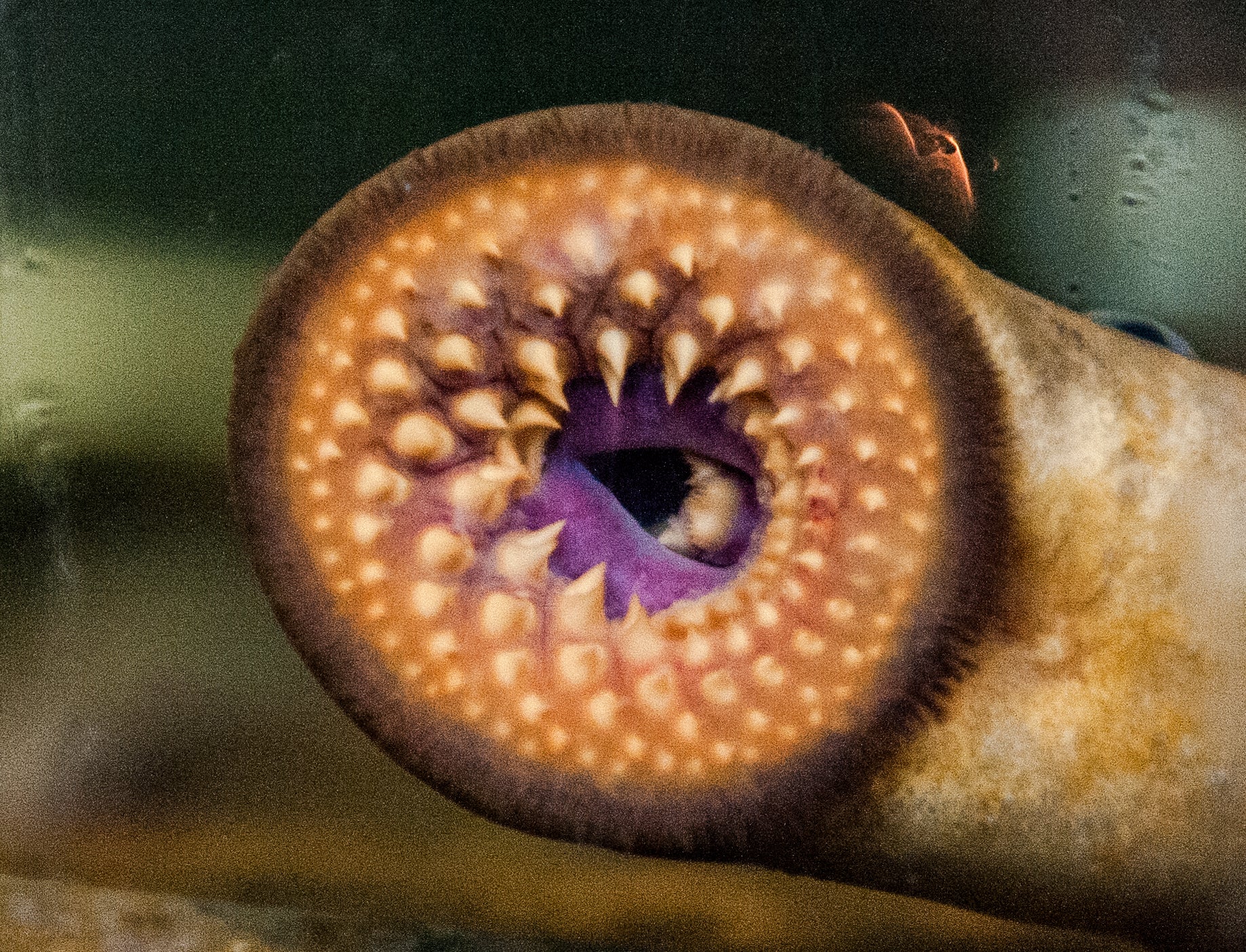 50 Of The Most Shocking Things I Found Out Recently