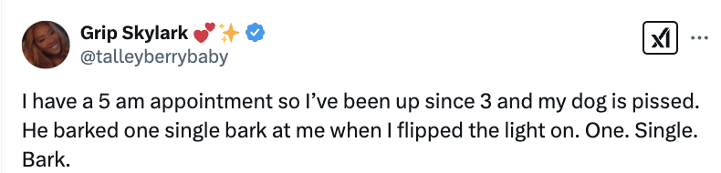 26 Hilarious Pet Tweets On The Internet