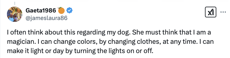 26 Hilarious Pet Tweets On The Internet