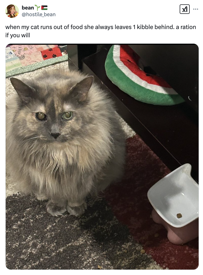 26 Hilarious Pet Tweets On The Internet