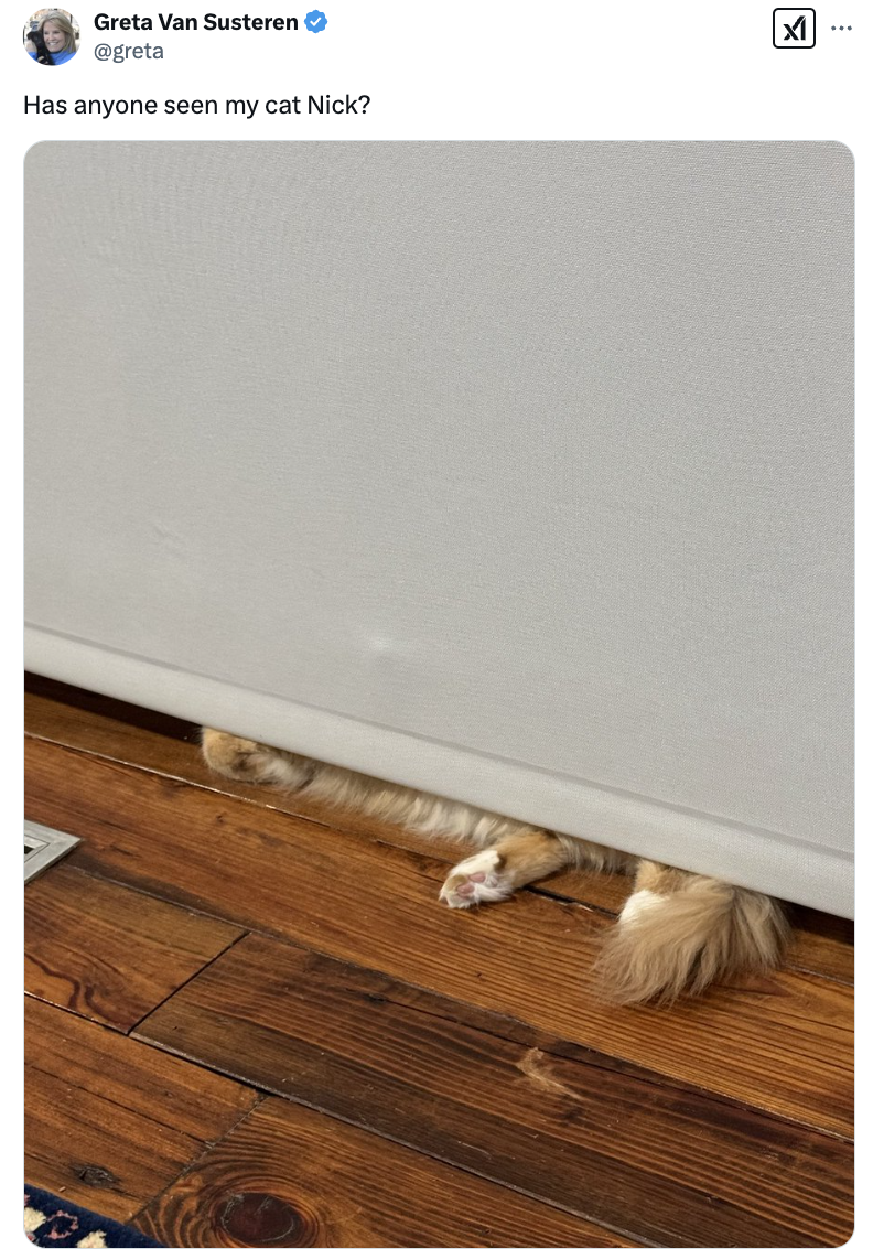 26 Hilarious Pet Tweets On The Internet