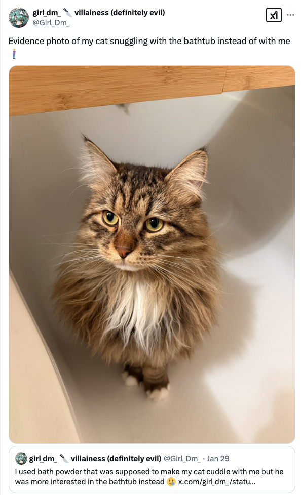 26 Hilarious Pet Tweets On The Internet