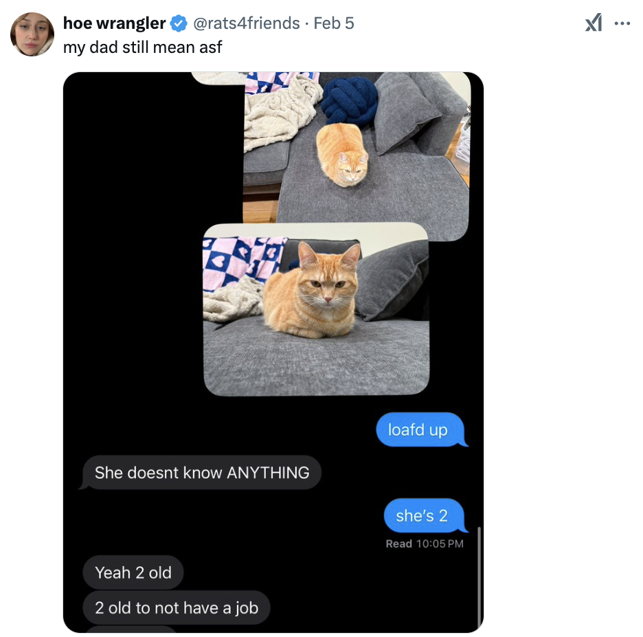 18 Hilarious Internet Fails From Last Week