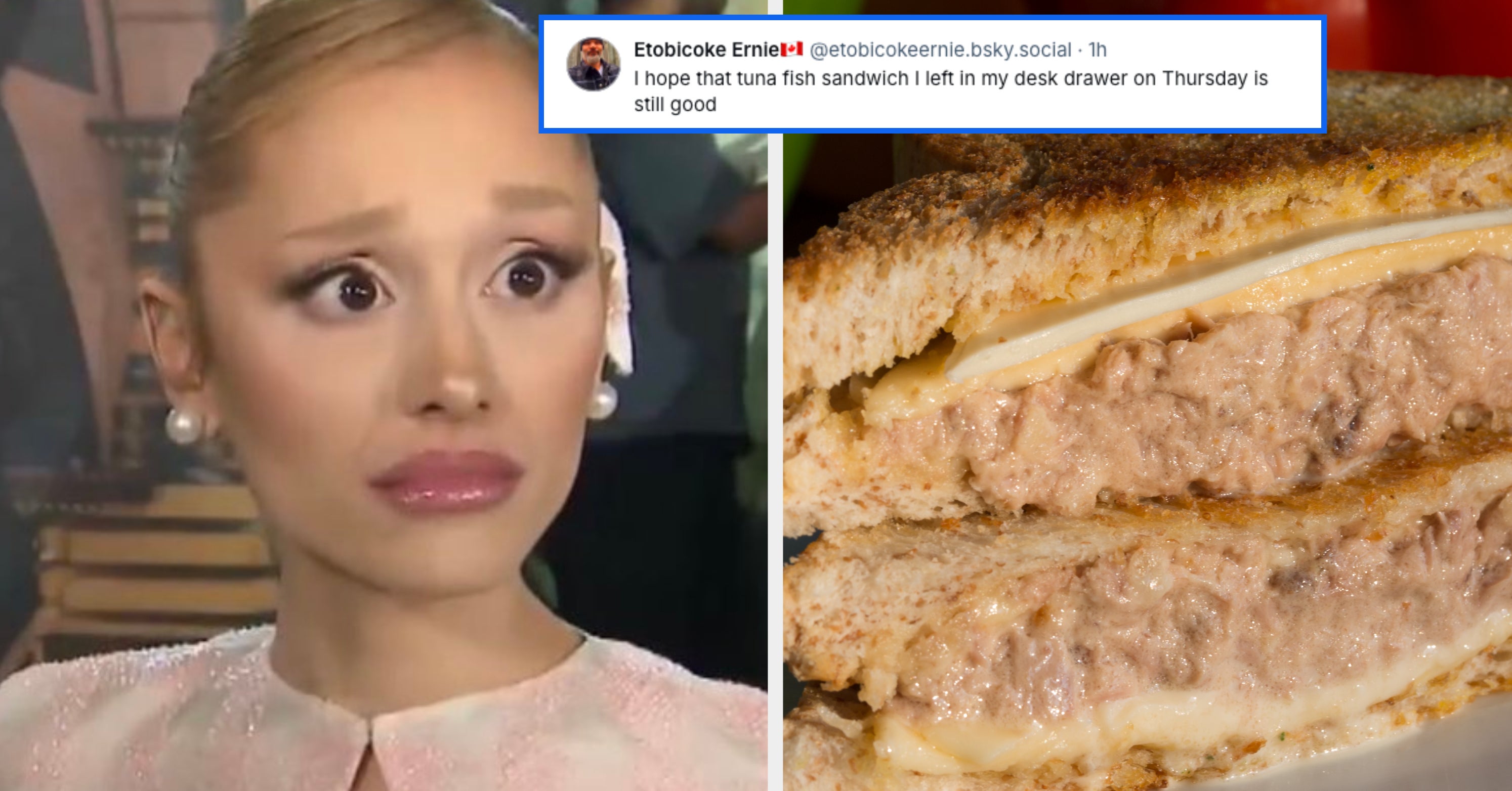 18 Hilarious Internet Fails From Last Week