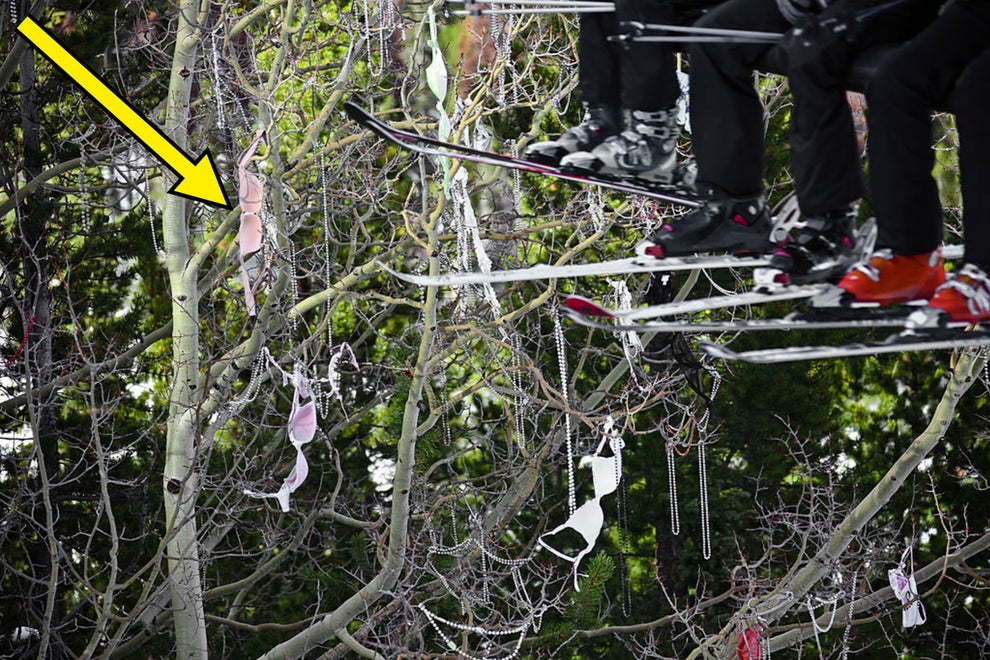 50 Bizarre Facts About US States