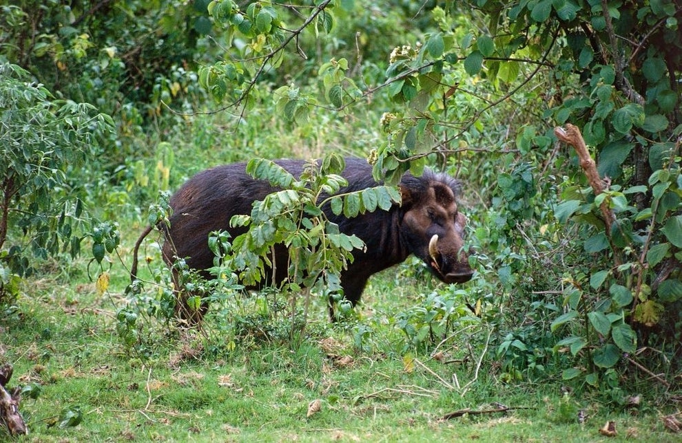 50 Bizarre Facts About US States