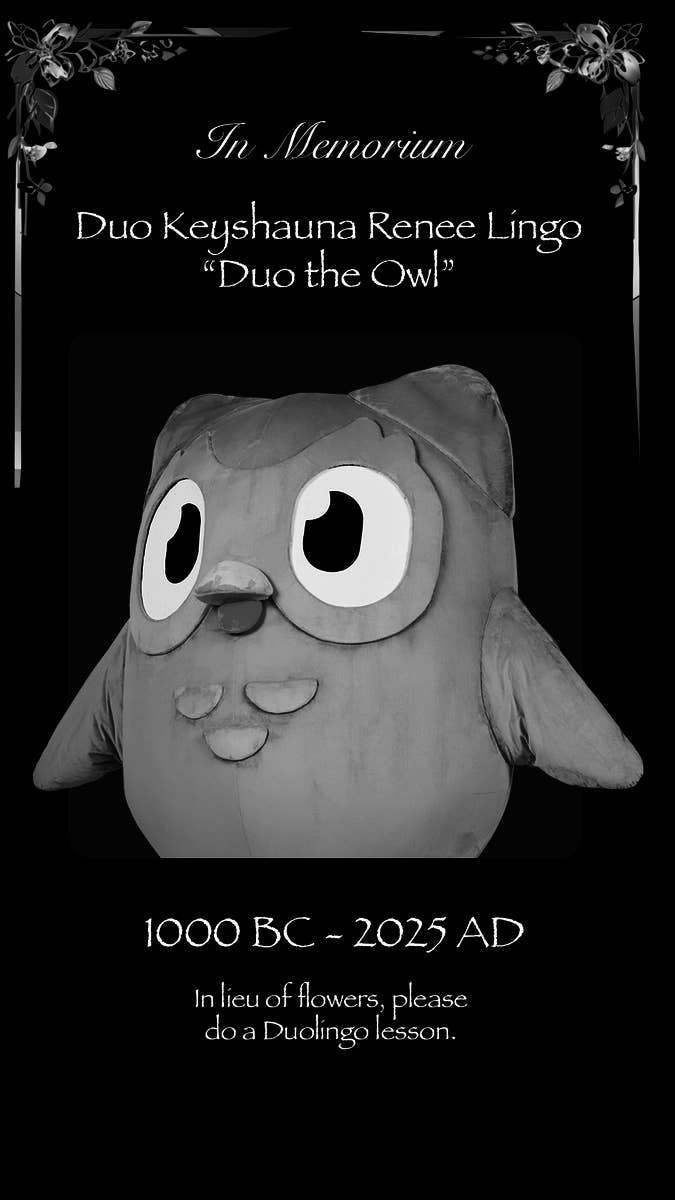 Duo The Owl Is Dead And The Web's Planning A Funeral