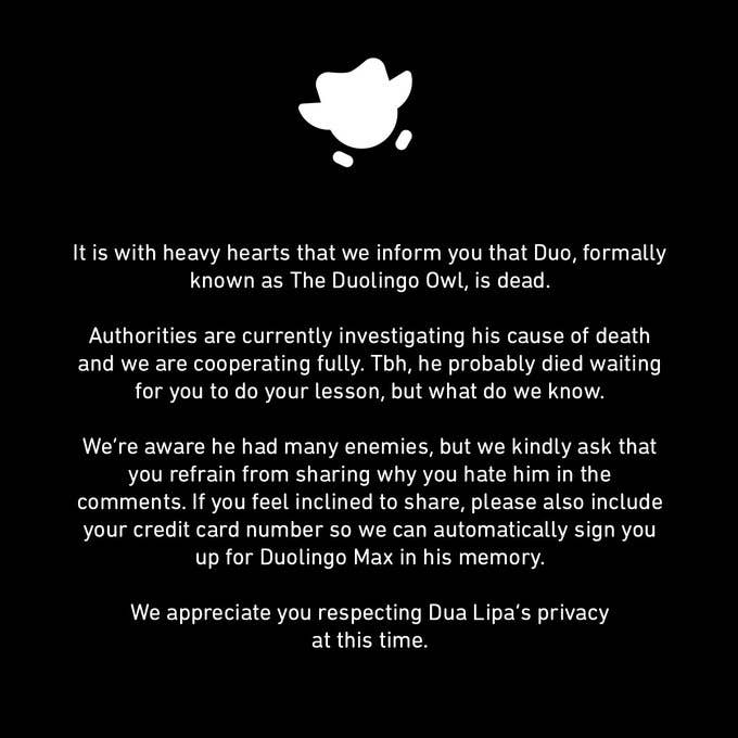 Duo The Owl Is Dead And The Web's Planning A Funeral