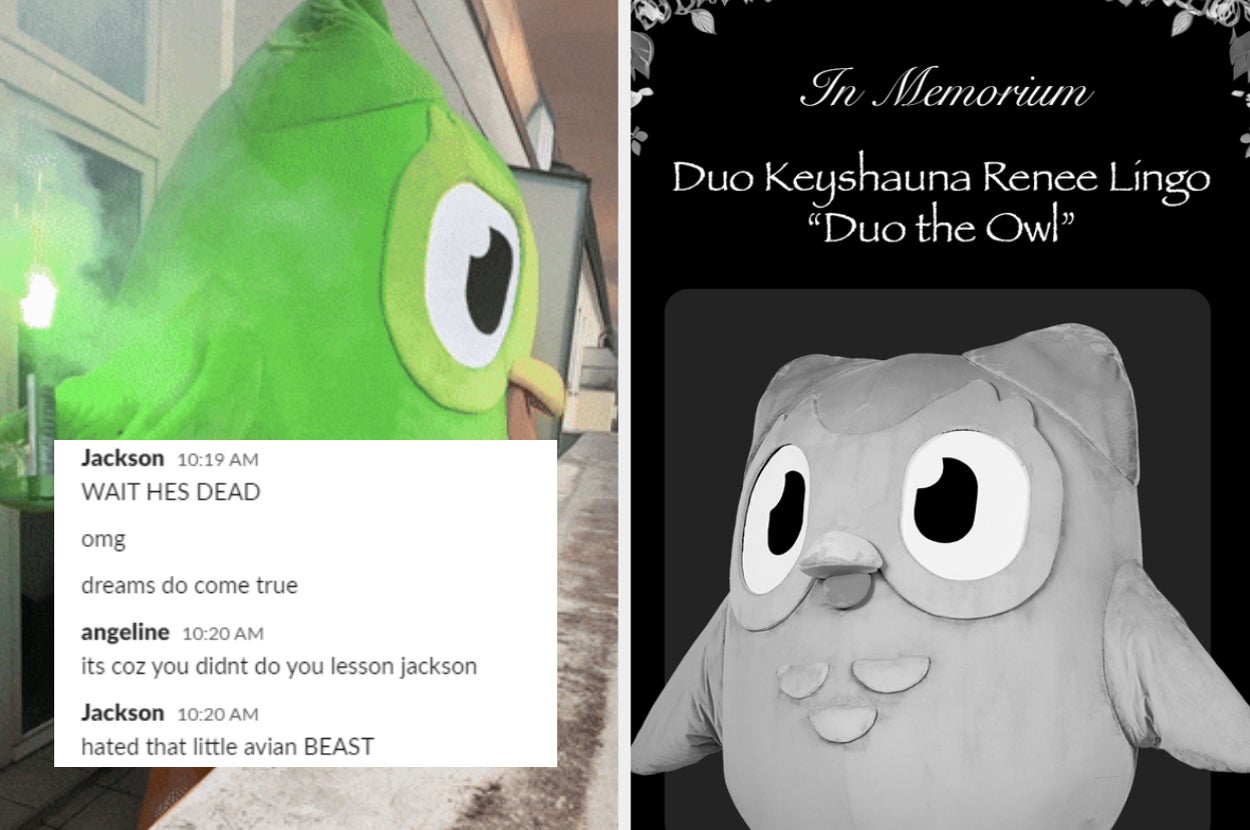Duo The Owl Is Dead And The Web's Planning A Funeral
