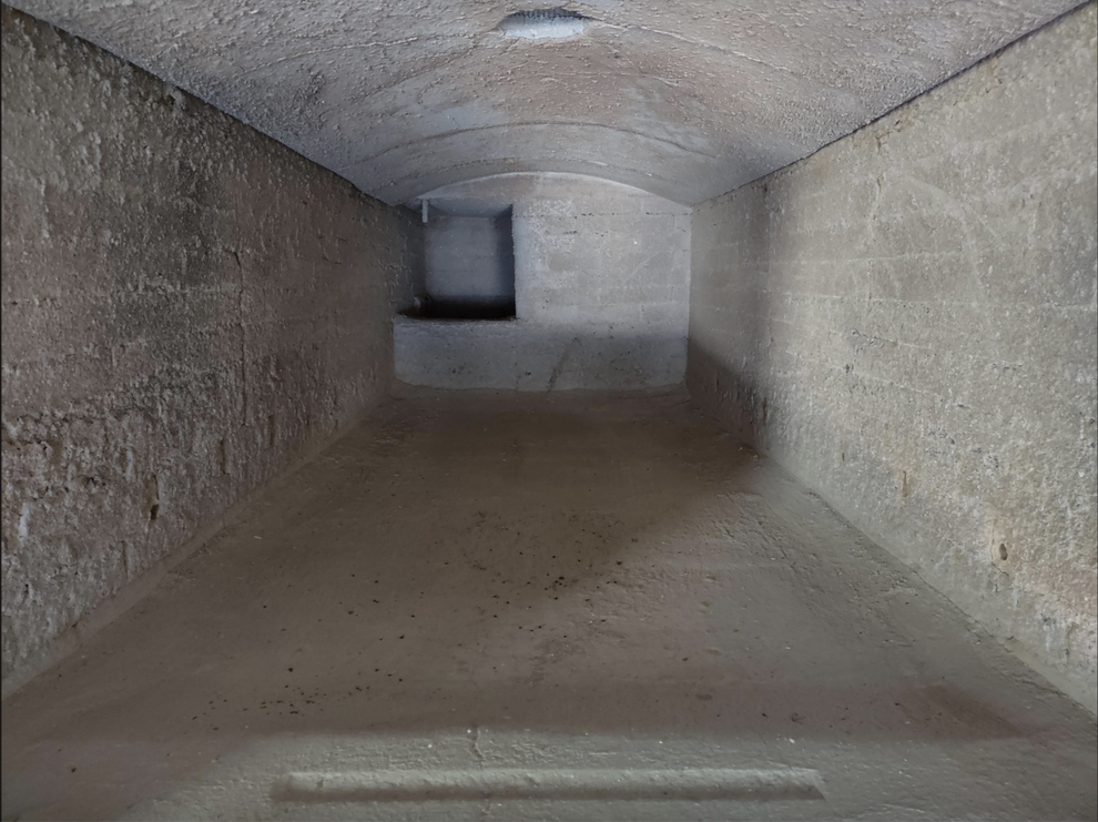 50 Wild Photos Of The Insides Of Things We Never See