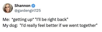 The Funniest Pet Tweets On The Internet This Week