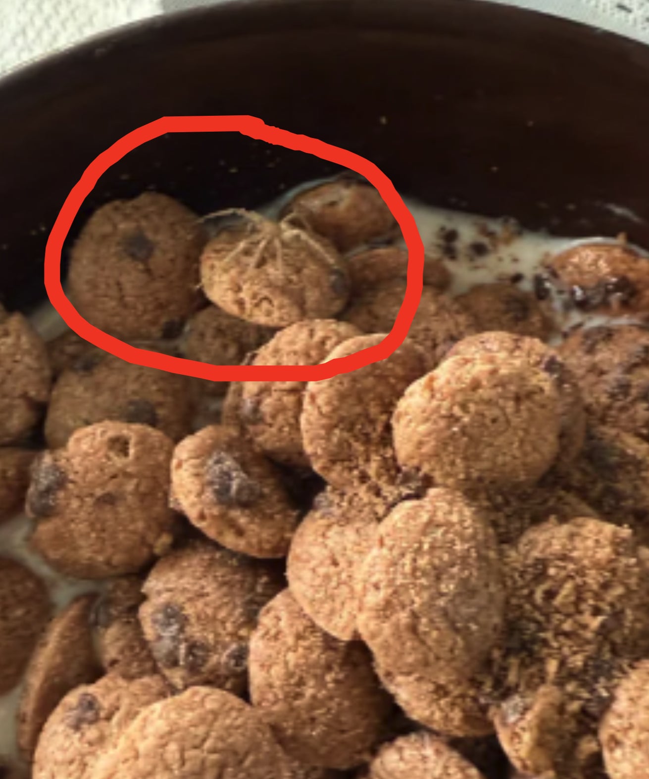 31 People Who Made Me Reconsider The Meaning Of Having A Bad Day
