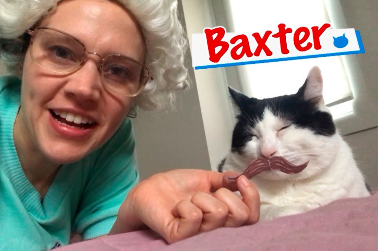 Poll: Pick Names For Cats