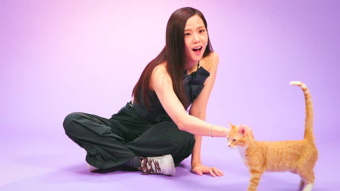 buzzfeed cat interview