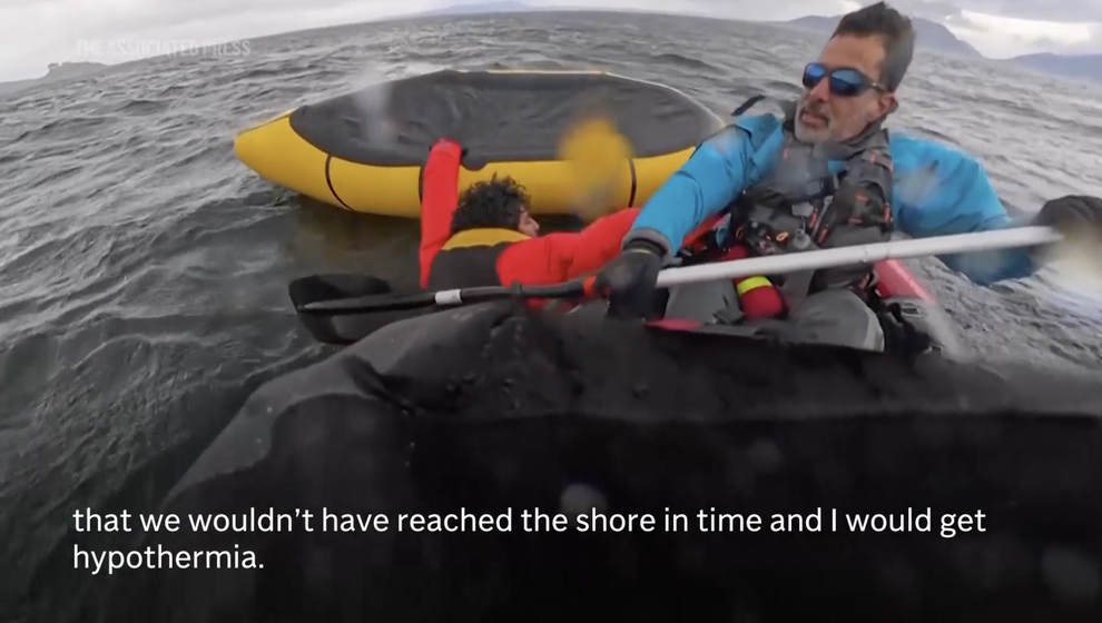 This Terrifying Video Of A Whale Swallowing A Man Is Going Viral