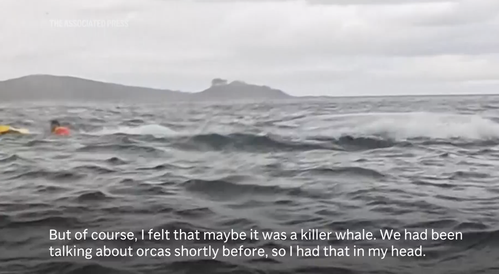 This Terrifying Video Of A Whale Swallowing A Man Is Going Viral