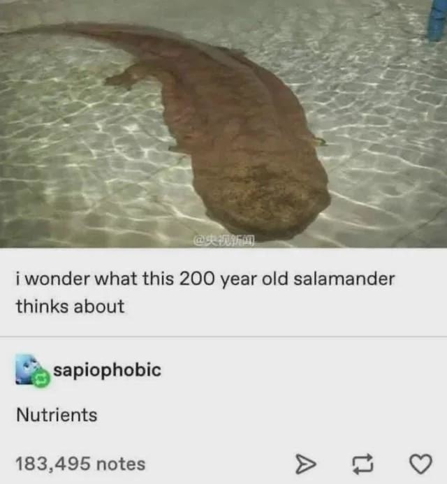 50 Pictures That Literally Never Fail To Make Me Laugh Uncontrollably ...