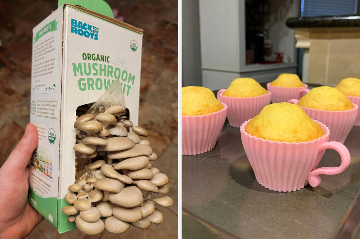 36 Quirky Products For Anyone Who Loves Food The Most