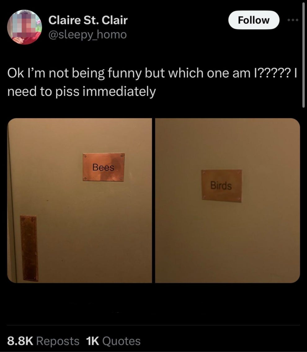 50 Pictures That Literally Never Fail To Make Me Laugh Uncontrollably ...