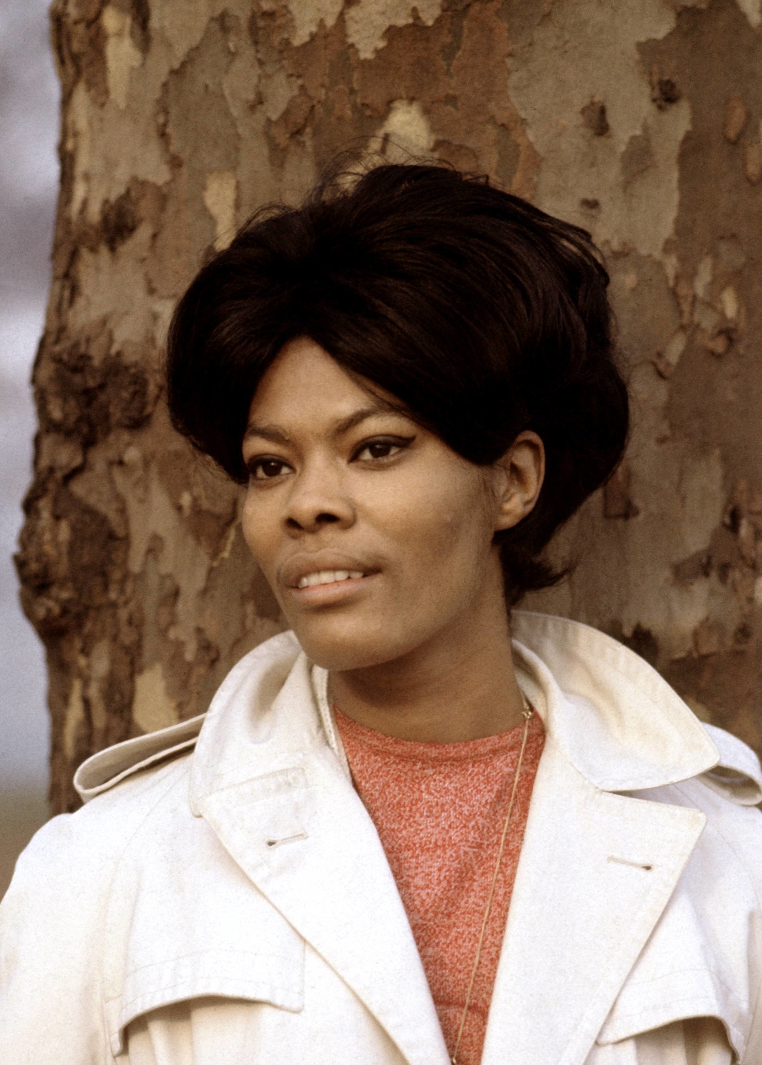 21 Hot '60s Celebrities, Then And Now