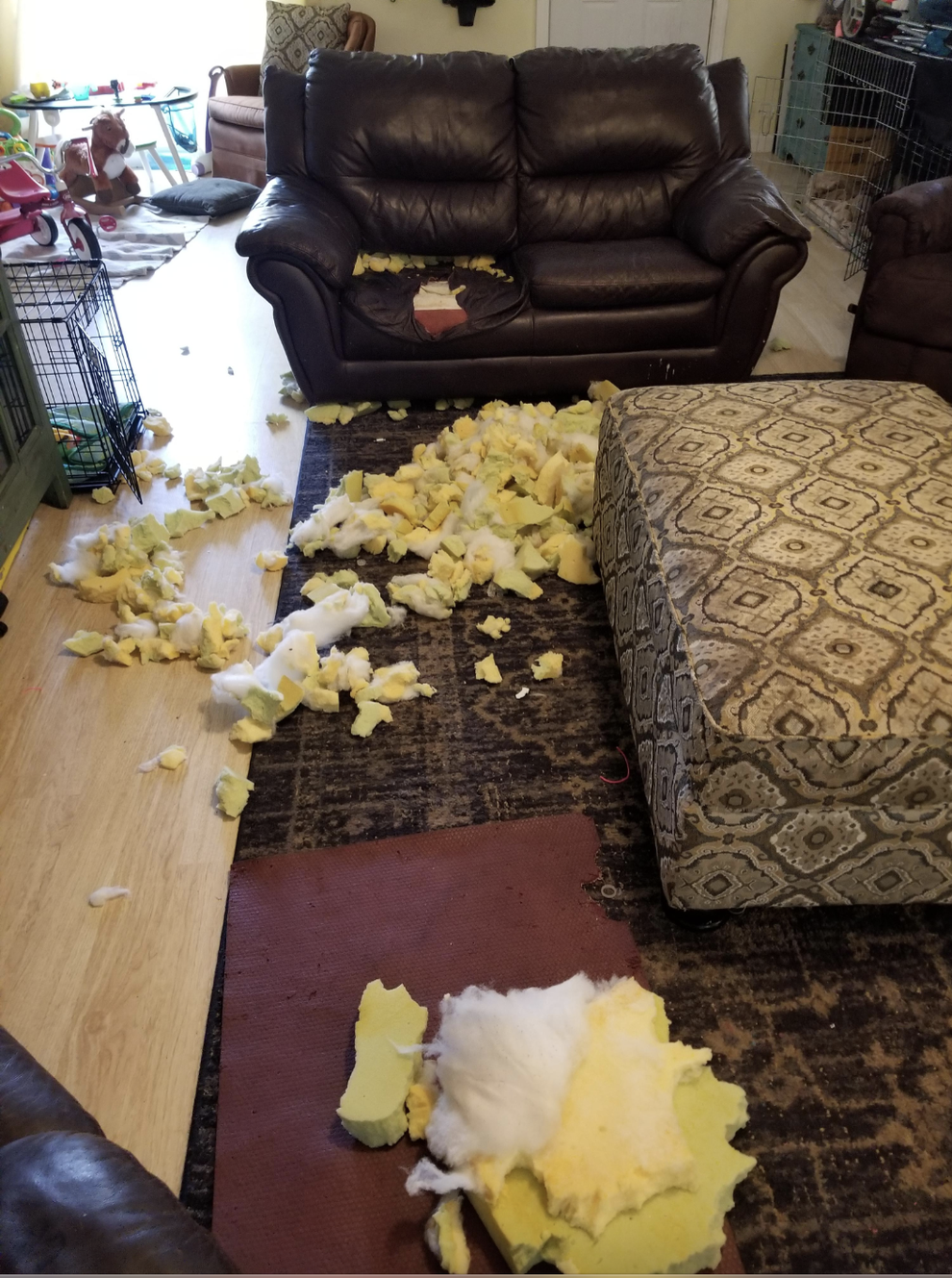 43 Hilarious Mistakes That You’d Be A Jerk To Laugh At
