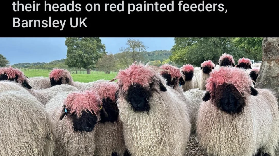 43 Hilarious Mistakes That You’d Be A Jerk To Laugh At