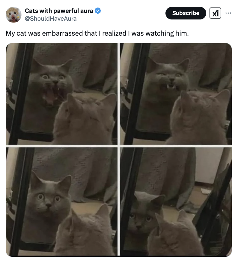 19 Funniest Pet Tweets Online This Week