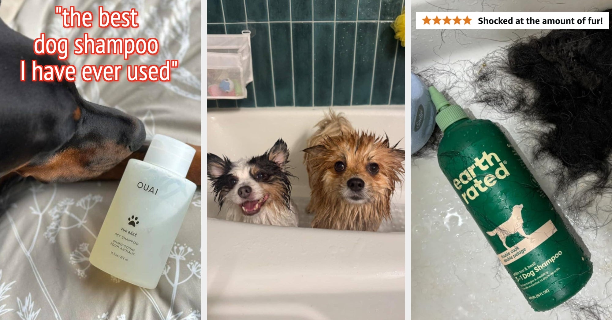 30 Best Dog Shampoos For Your Pup’s Next Bath