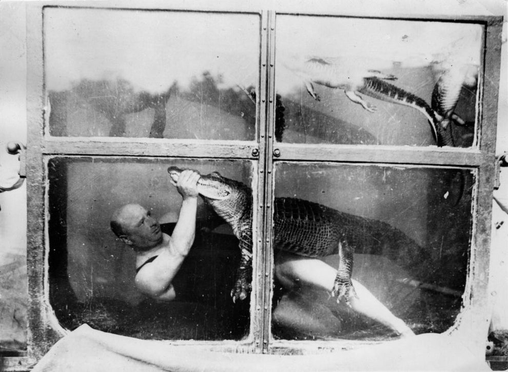 50 Extremely Rare Historical Photos That Show Just How Completely And ...