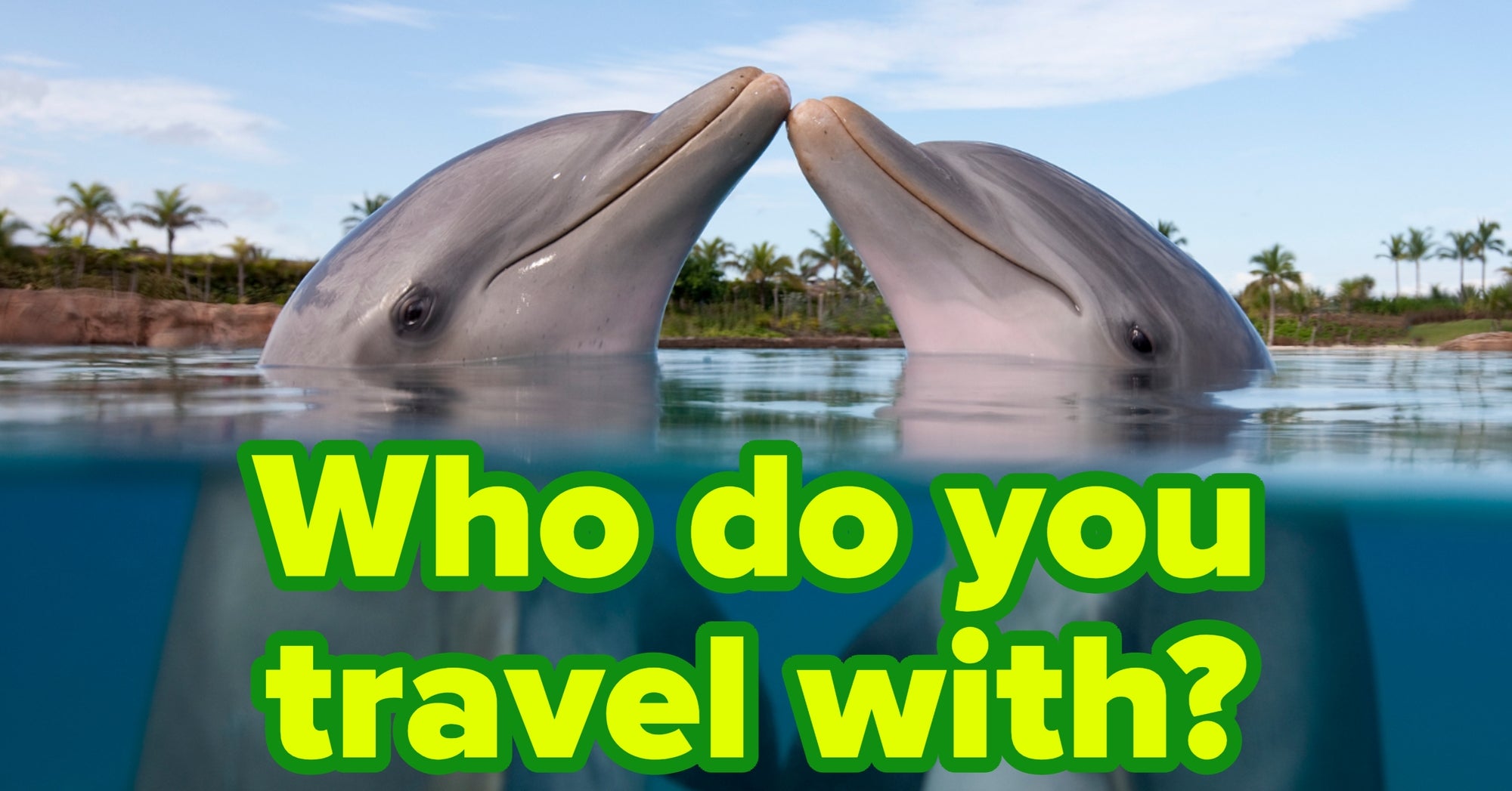 Sea Creature Personality Quiz
