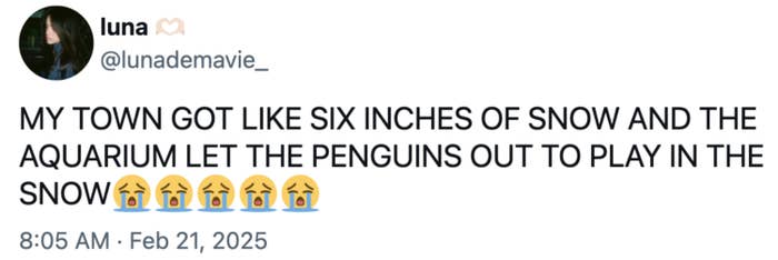 16 Wholesome Tweets From The Internet This Week